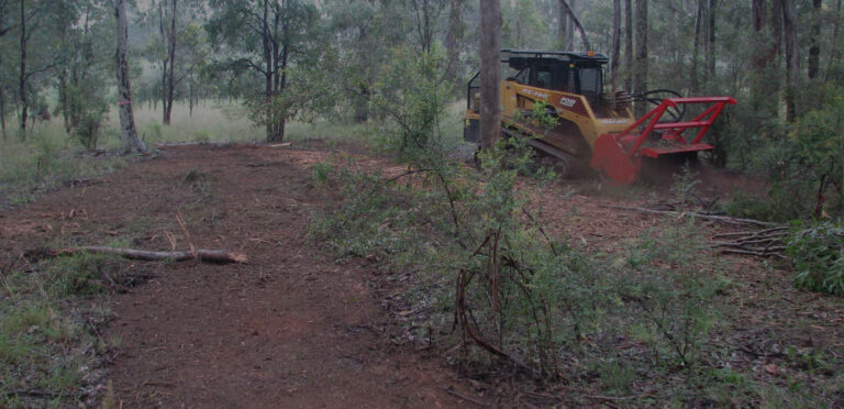 Clearing Trees from Property Gold Coast | Tree Menders Tree Care
